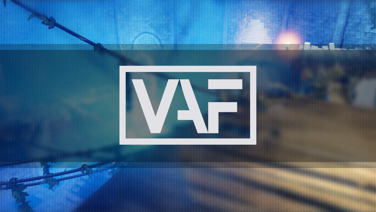 VAF Support | eXiin